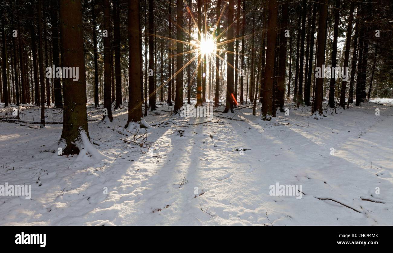 Sun rays in winter hi-res stock photography and images - Alamy