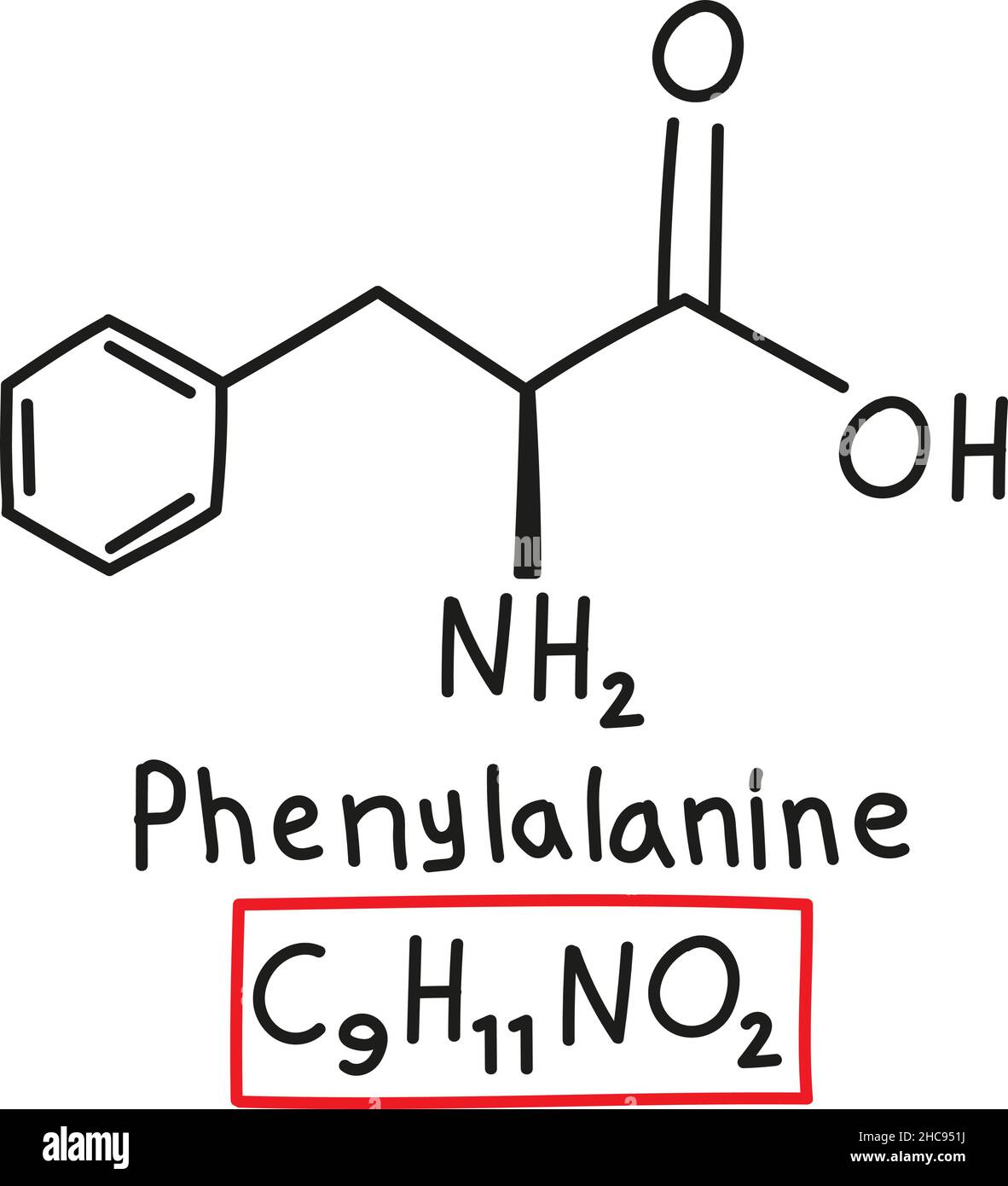 Hand Drawn Chemical Molecular Formula Of Amino Acid Phenylalanine In hand-drawn-chemical-molecular-formula-of-amino-acid-phenylalanine-in