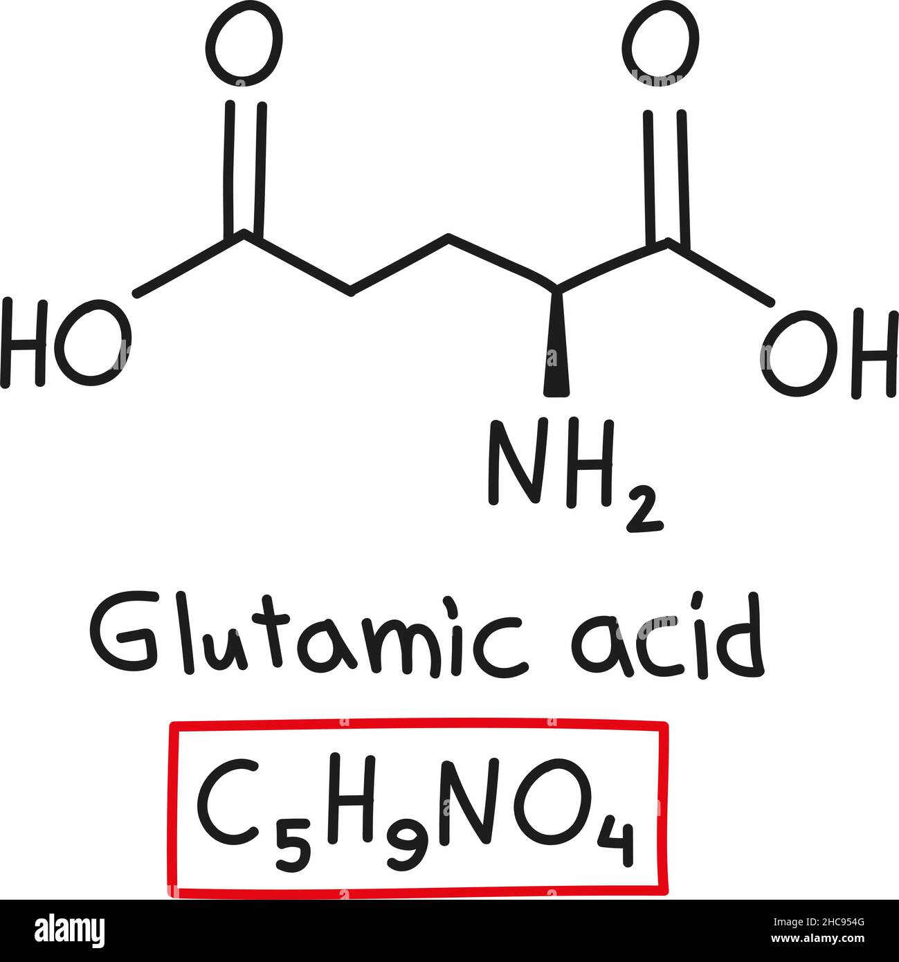 What Type Of Amino Acid Is Glutamic Acid at Zoe Agaundo blog