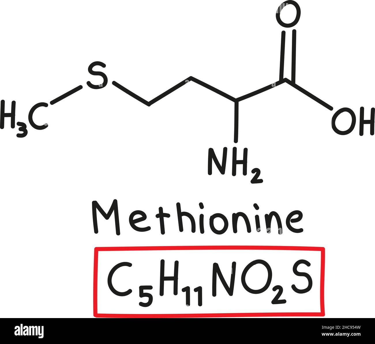 Hand drawn chemical molecular formula of amino acid Methionine in ...