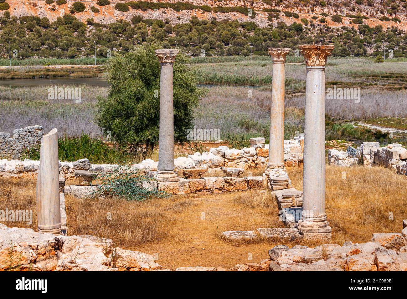 Close up detail view of classical greek and roman columns with ...