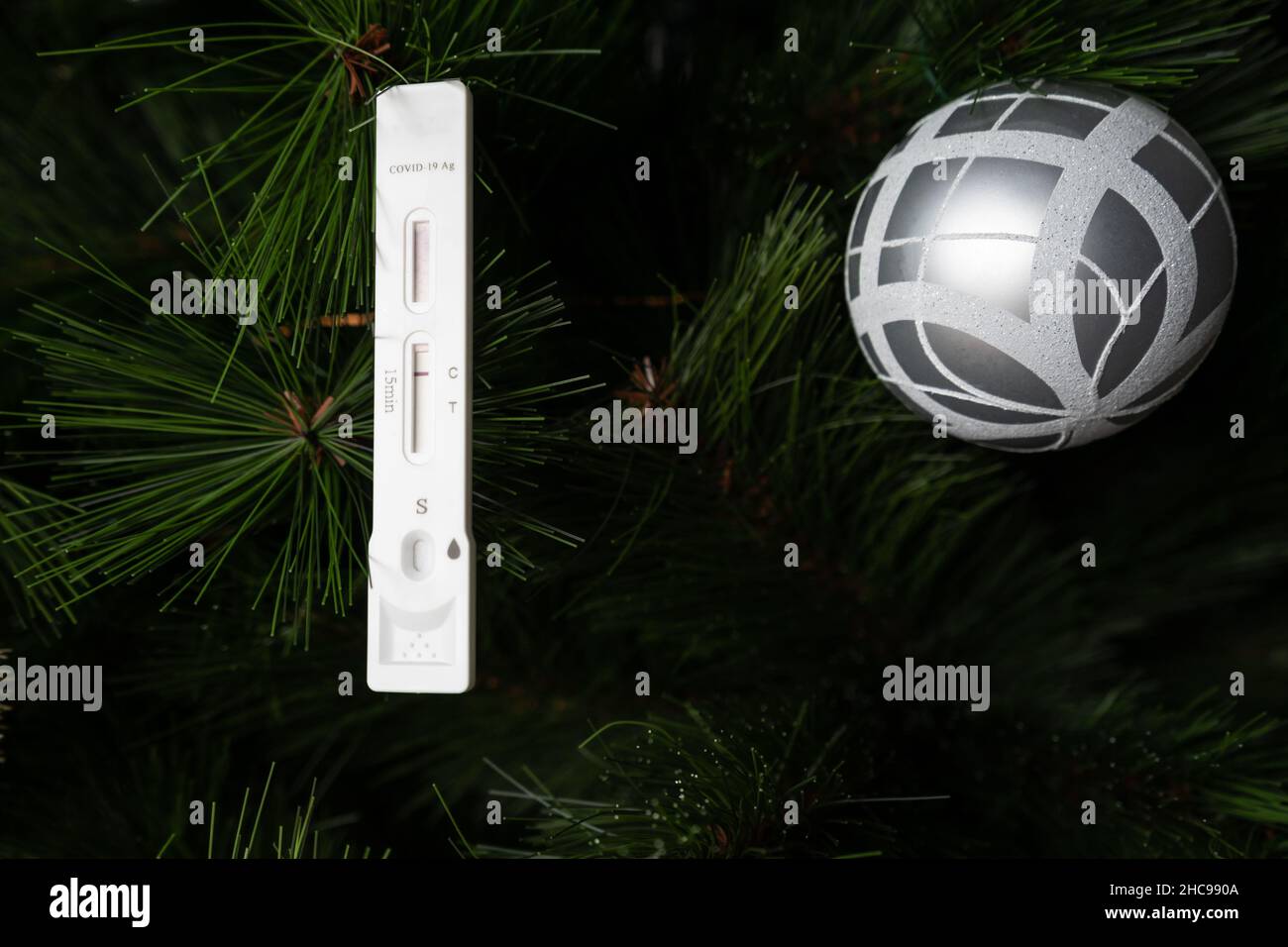 Tree disease diagnosis hi-res stock photography and images - Alamy