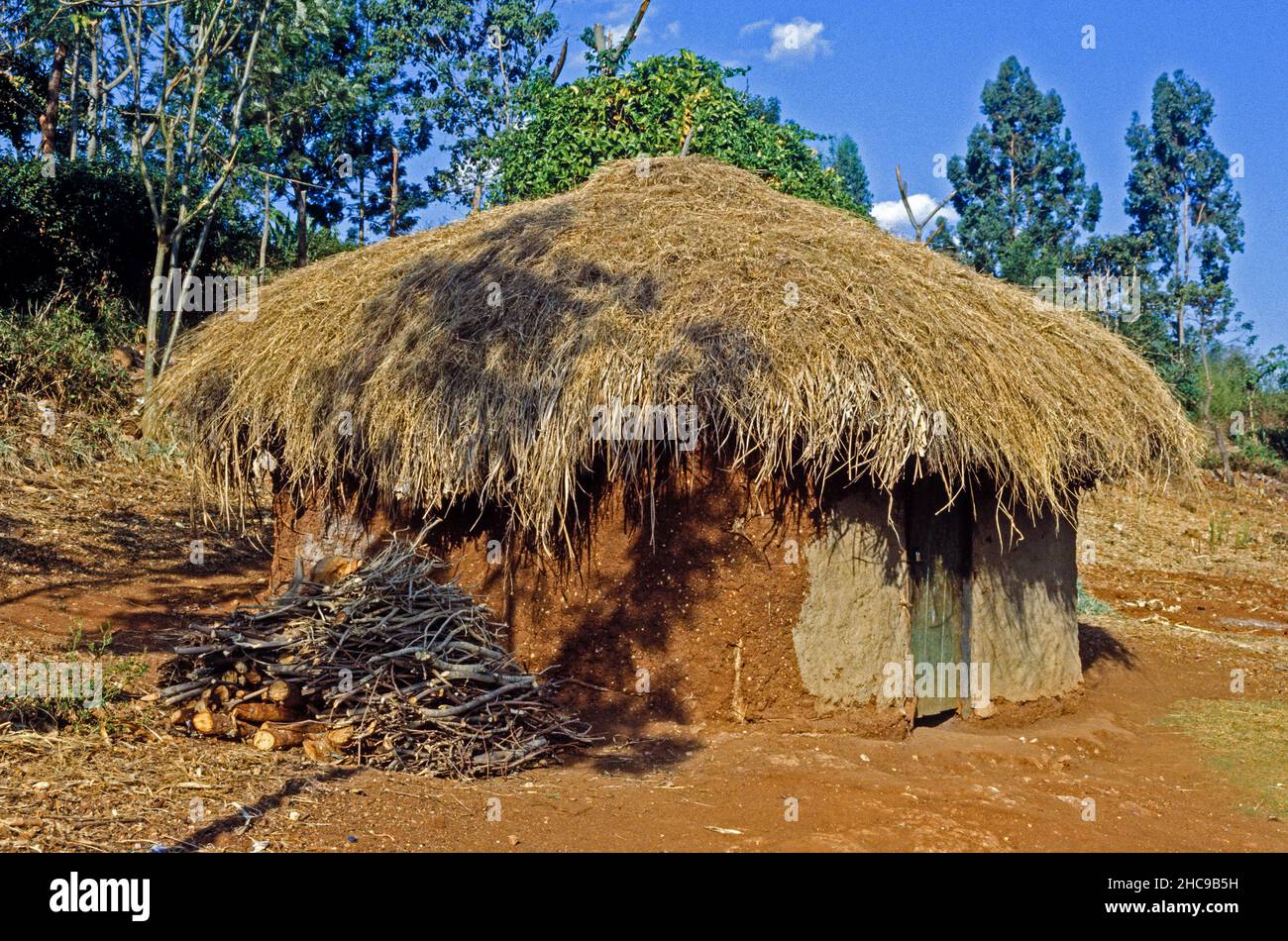Typical kikuyu thatched hut hi-res stock photography and images - Alamy