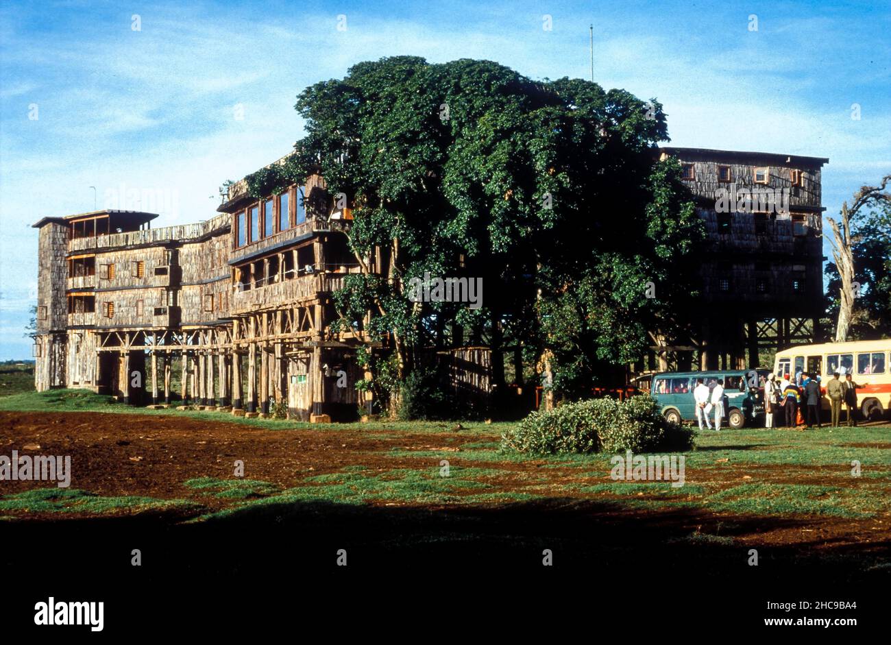 Treetops Lodge, Aberdare National Park, Kenya Stock Photo - Alamy