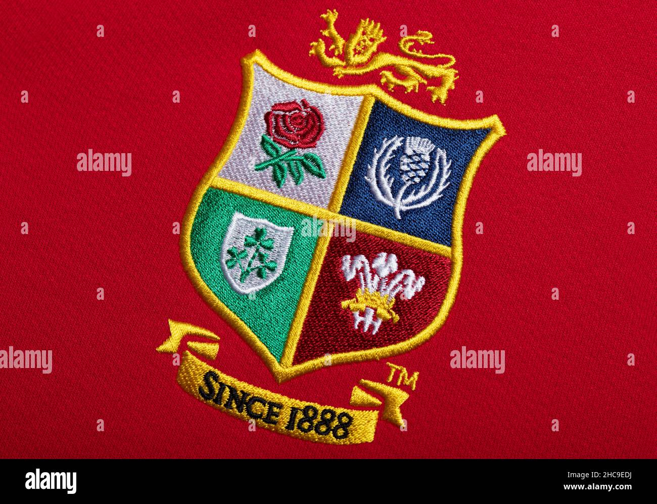 Lions Rugby Logo Wallpaper