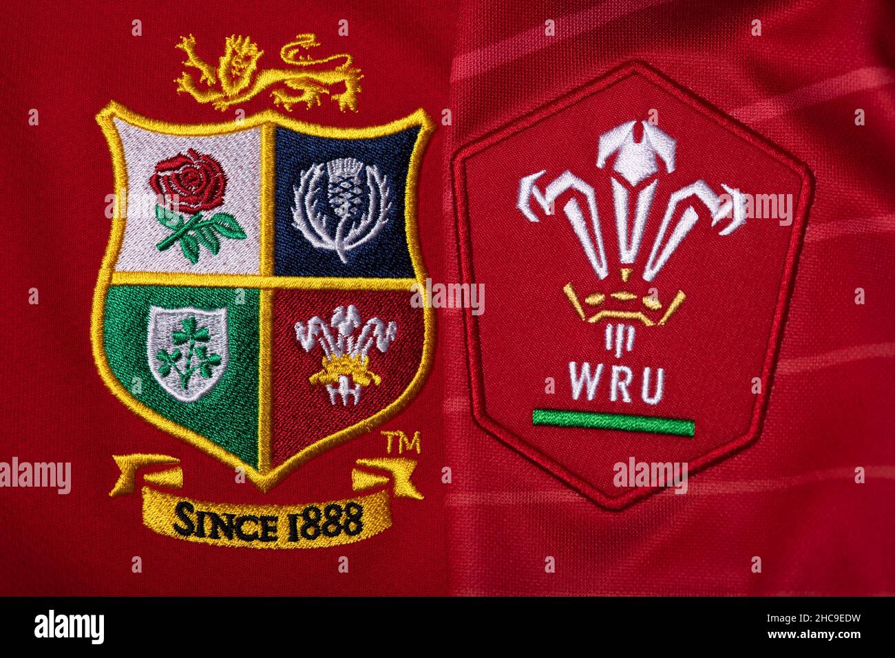 British Lions Rugby Logo