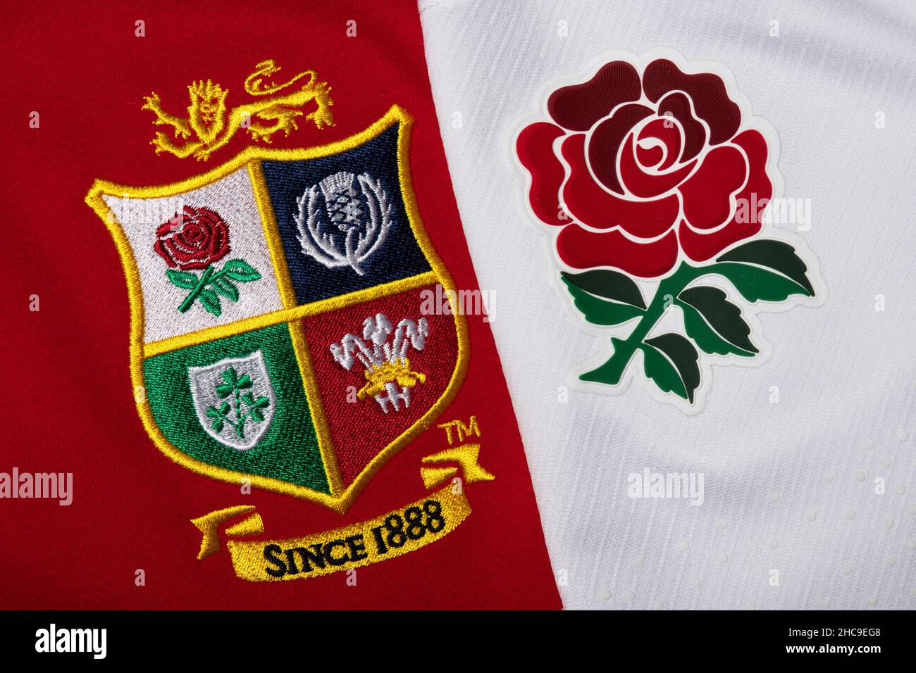 Rugby british lions logo hi-res stock photography and images - Alamy