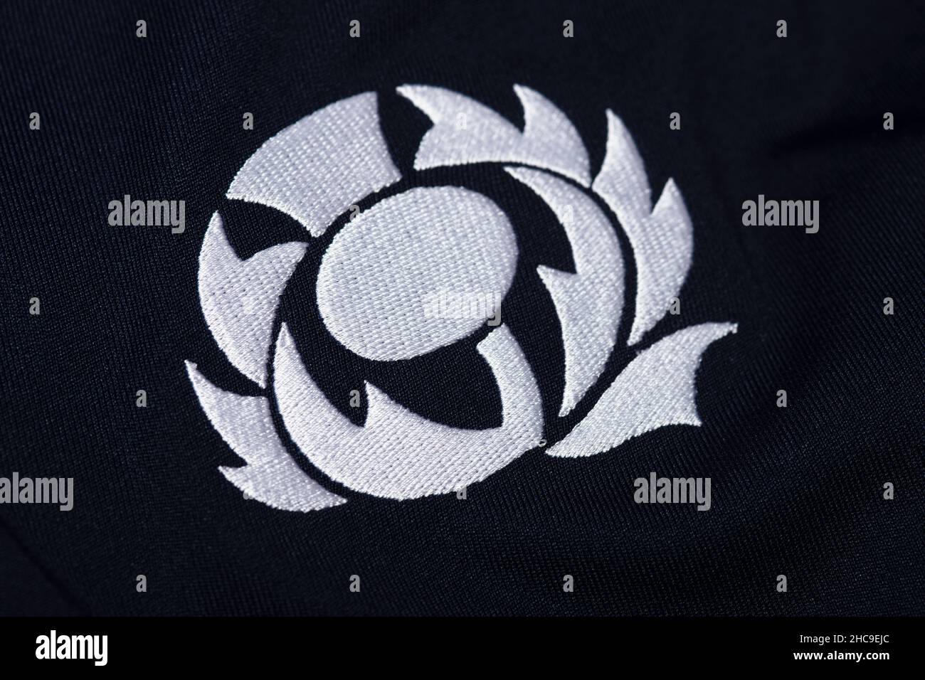 Scotland rugby union team hi-res stock photography and images - Alamy