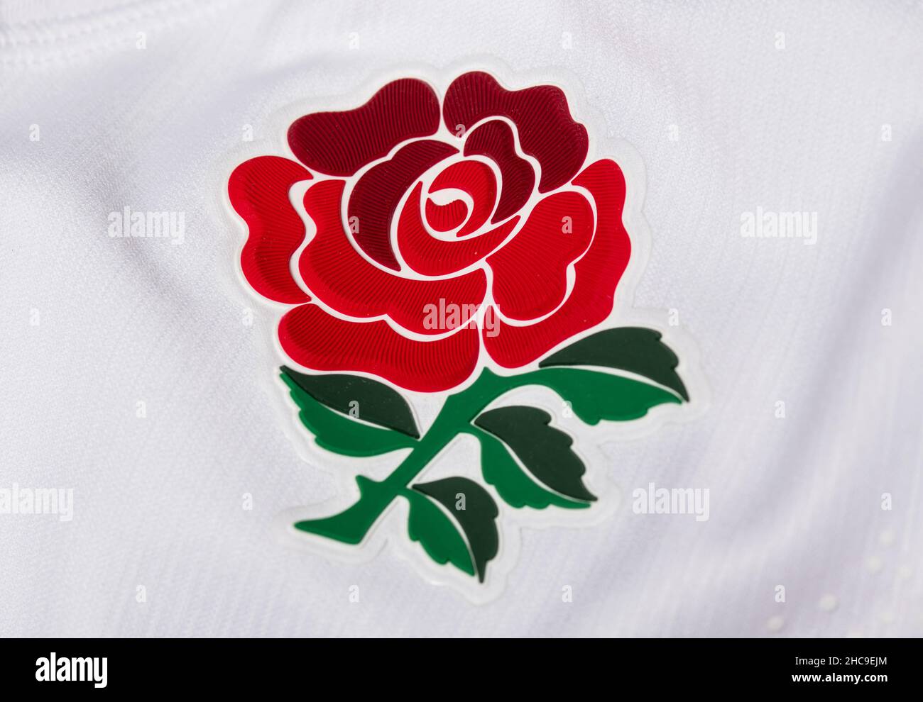 Close up of England national rugby union team jersey Stock Photo - Alamy