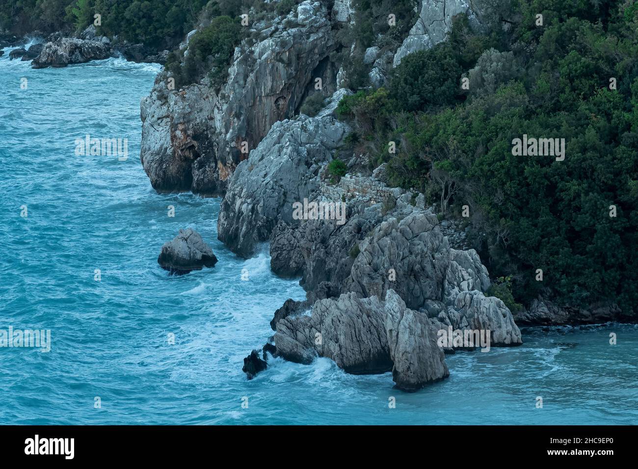 Rocky shore overgrown green trees hi-res stock photography and images ...