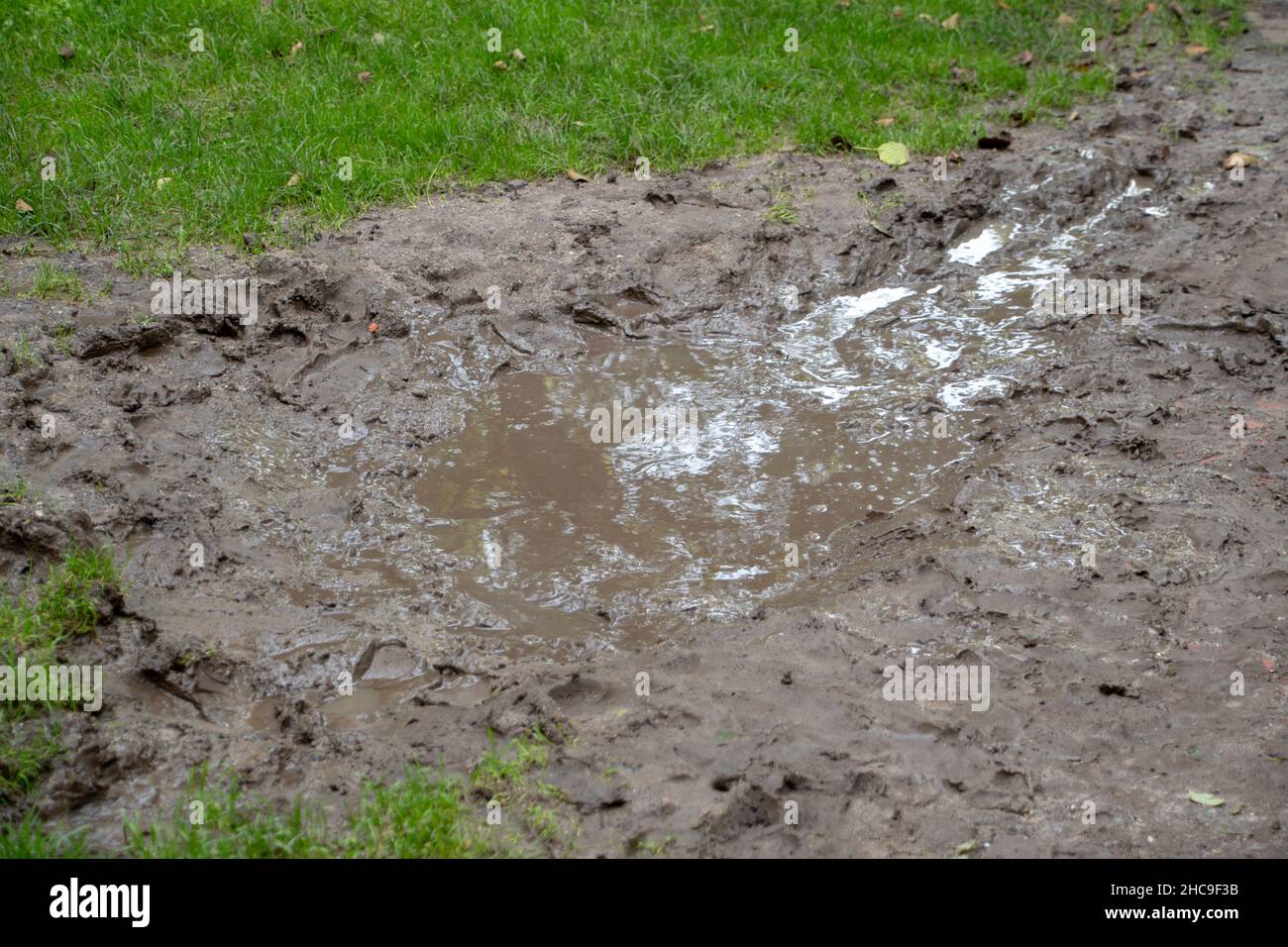 Landscape of mud puddle in Luisenpark Mannheim Baden Wurttemburg Stock ...