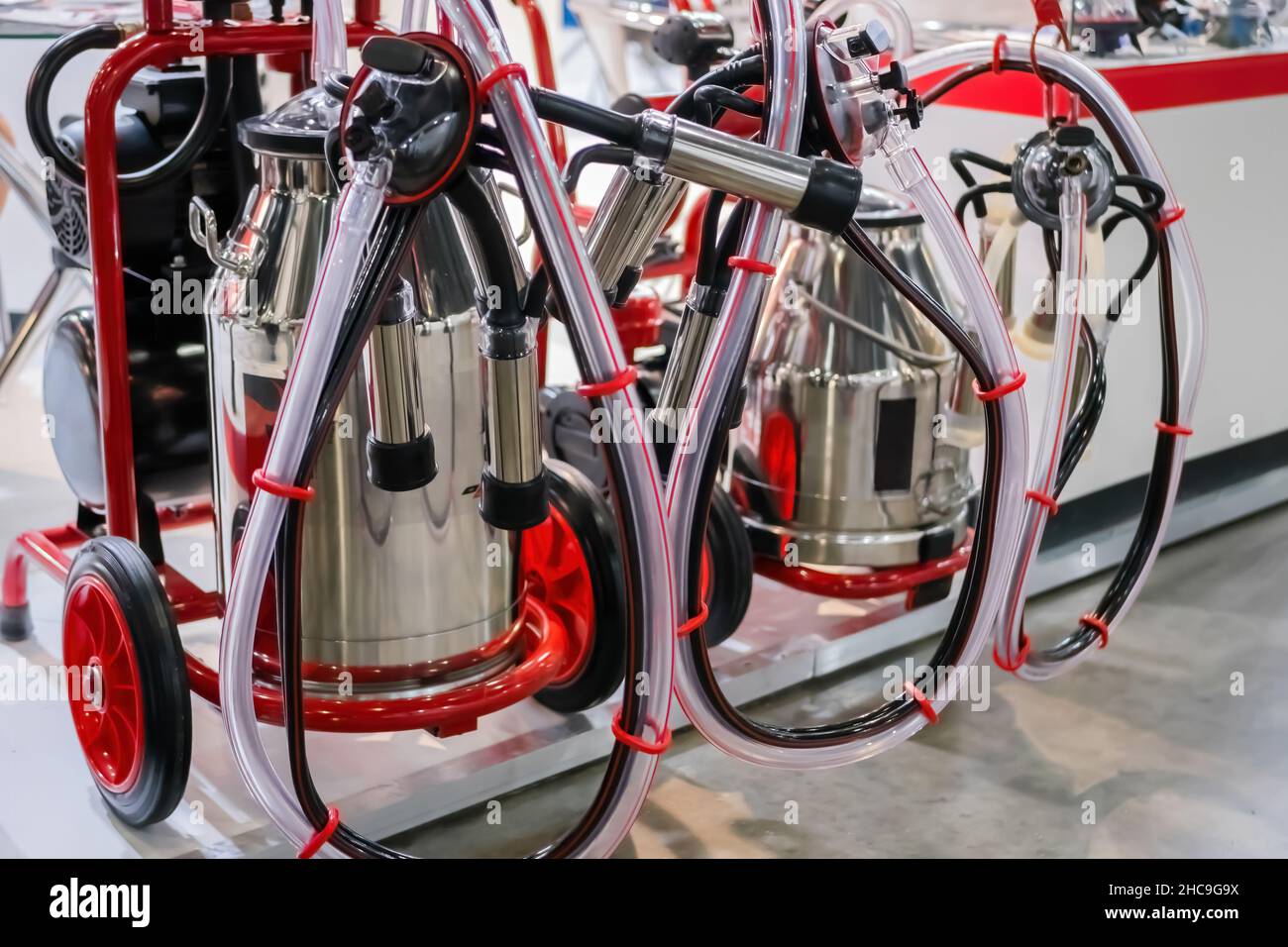 Teat cups of automated cow milking suction machine Stock Photo - Alamy