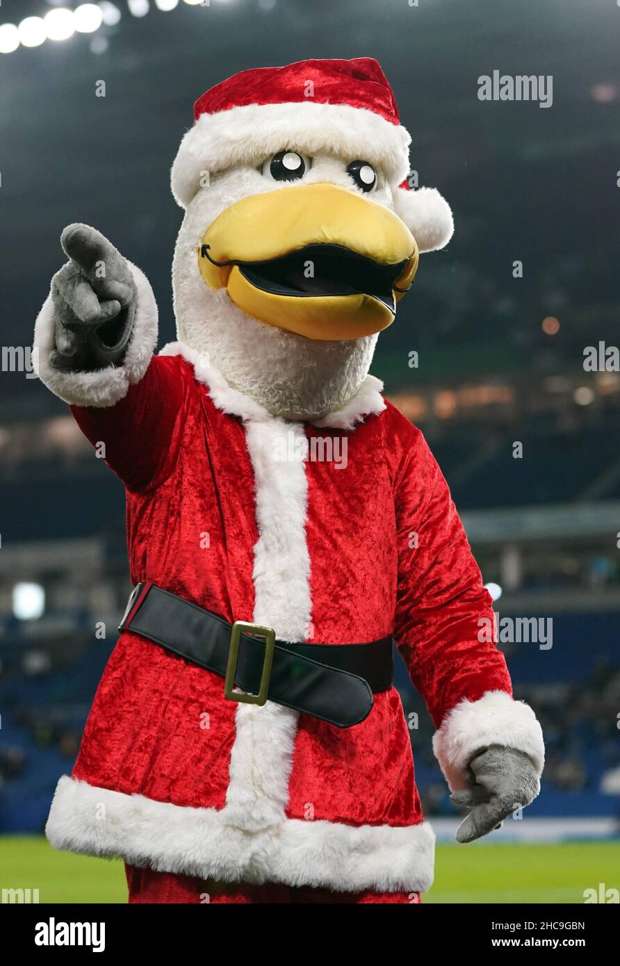 Brighton and Hove Albion mascot Gully dressed as Santa before the ...