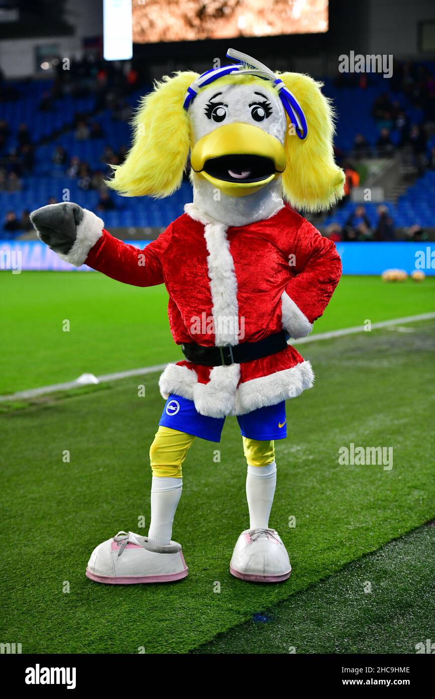 Brighton and hove albion mascot hi-res stock photography and images - Alamy