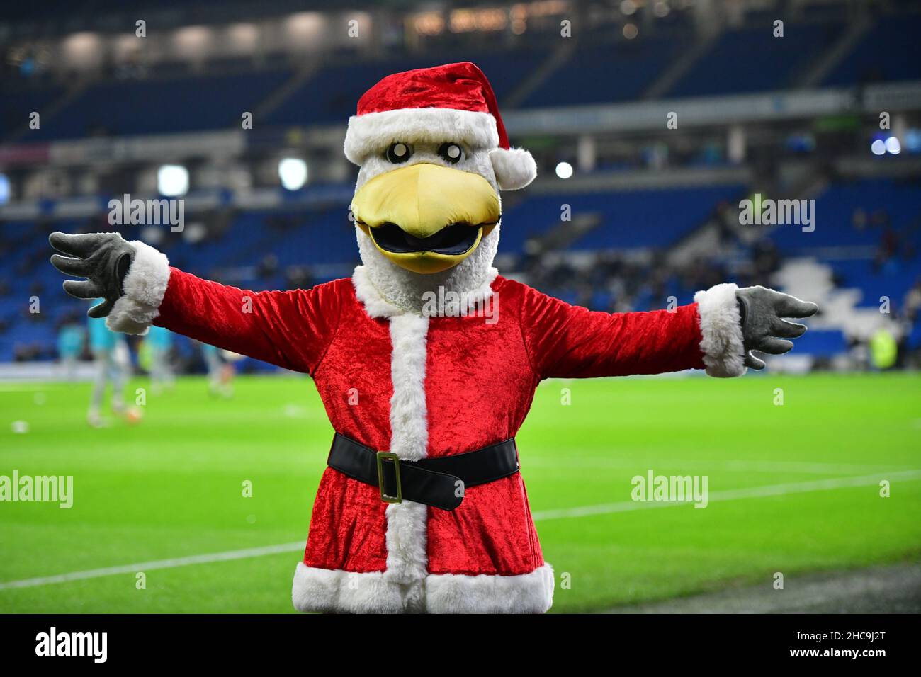 Brighton and hove albion mascot hi-res stock photography and images - Alamy
