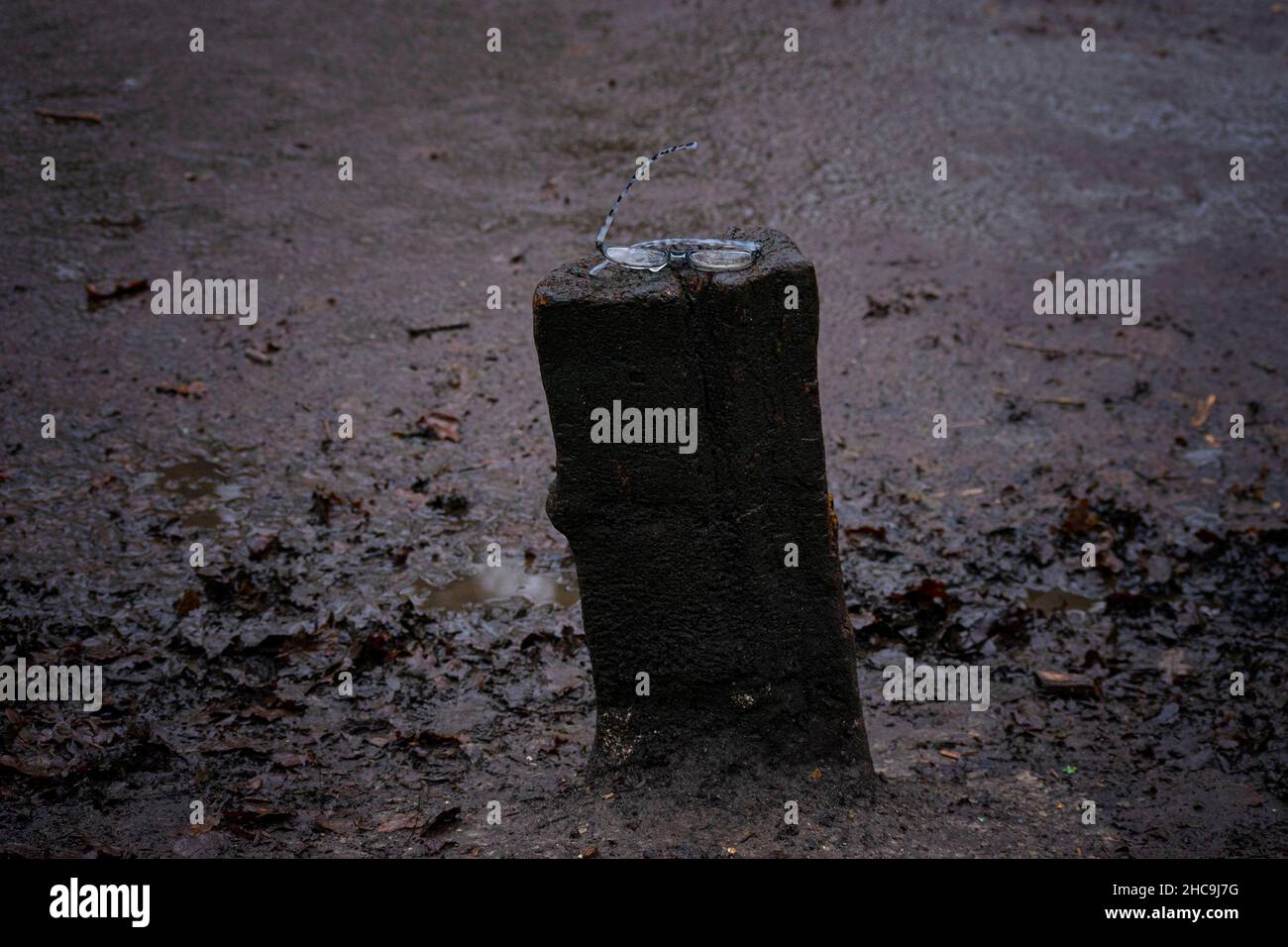 2021 best photography hi-res stock photography and images - Alamy