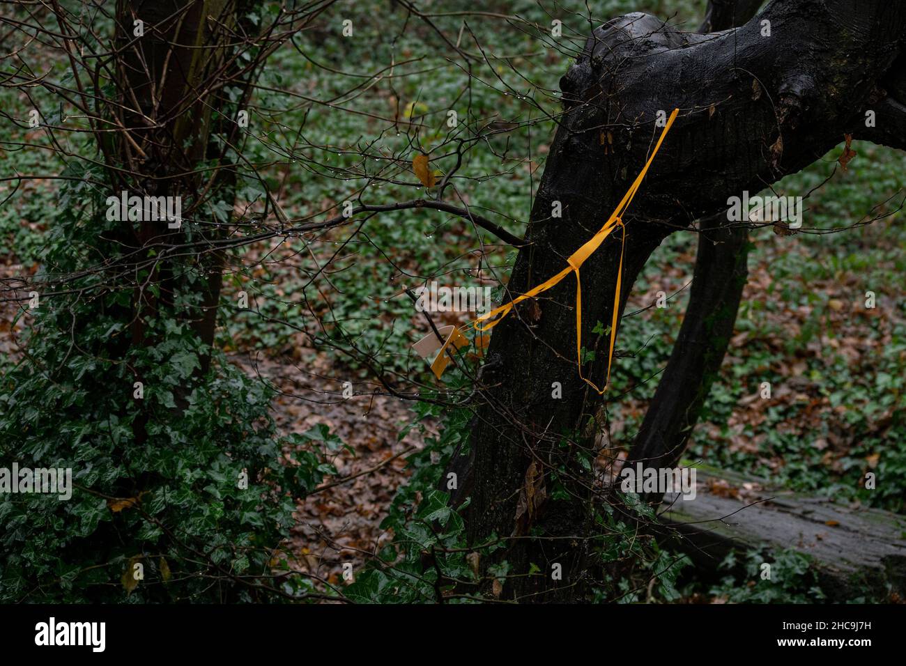 Boxing day 2021 hi-res stock photography and images - Alamy