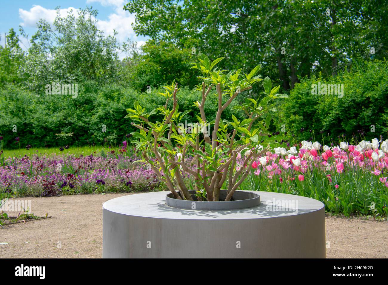 Scenic landscape of Italian Renaissance garden in Garten der Welt ...
