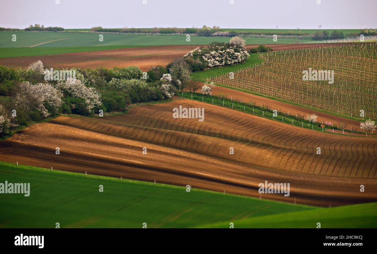 Czech farm hi-res stock photography and images - Alamy