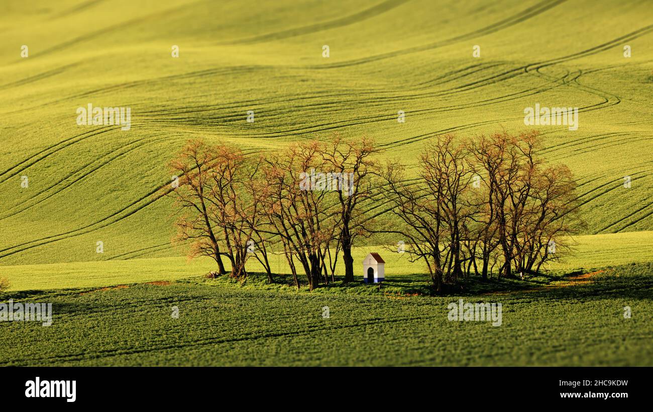 Landscape of hills covered in farm field crops on a sunny day in ...