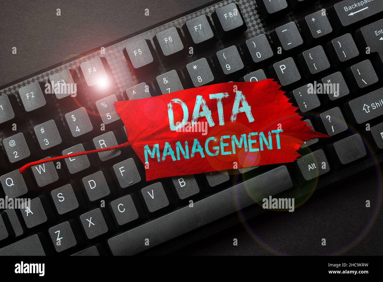 Conceptual caption Data Management. Internet Concept The practice of organizing and maintaining ...