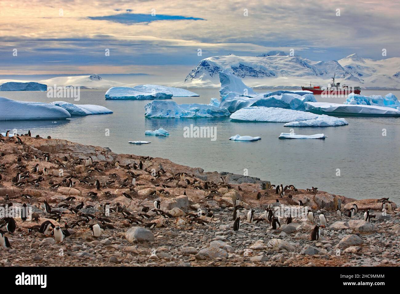 Beautiful icy view in Antarctica Stock Photo - Alamy