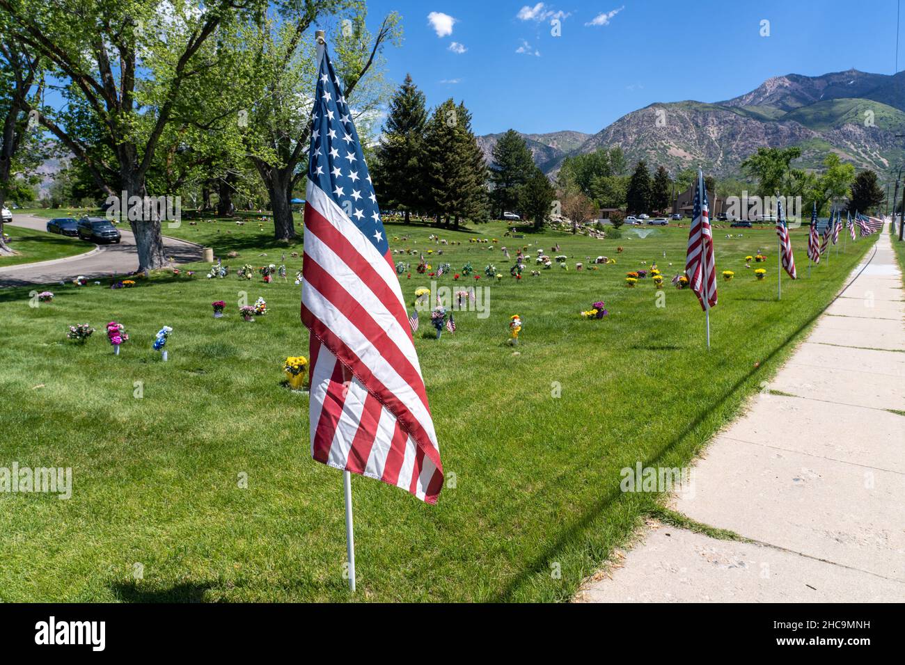 American flags line the cemetary of decorated graves for the Memorial ...
