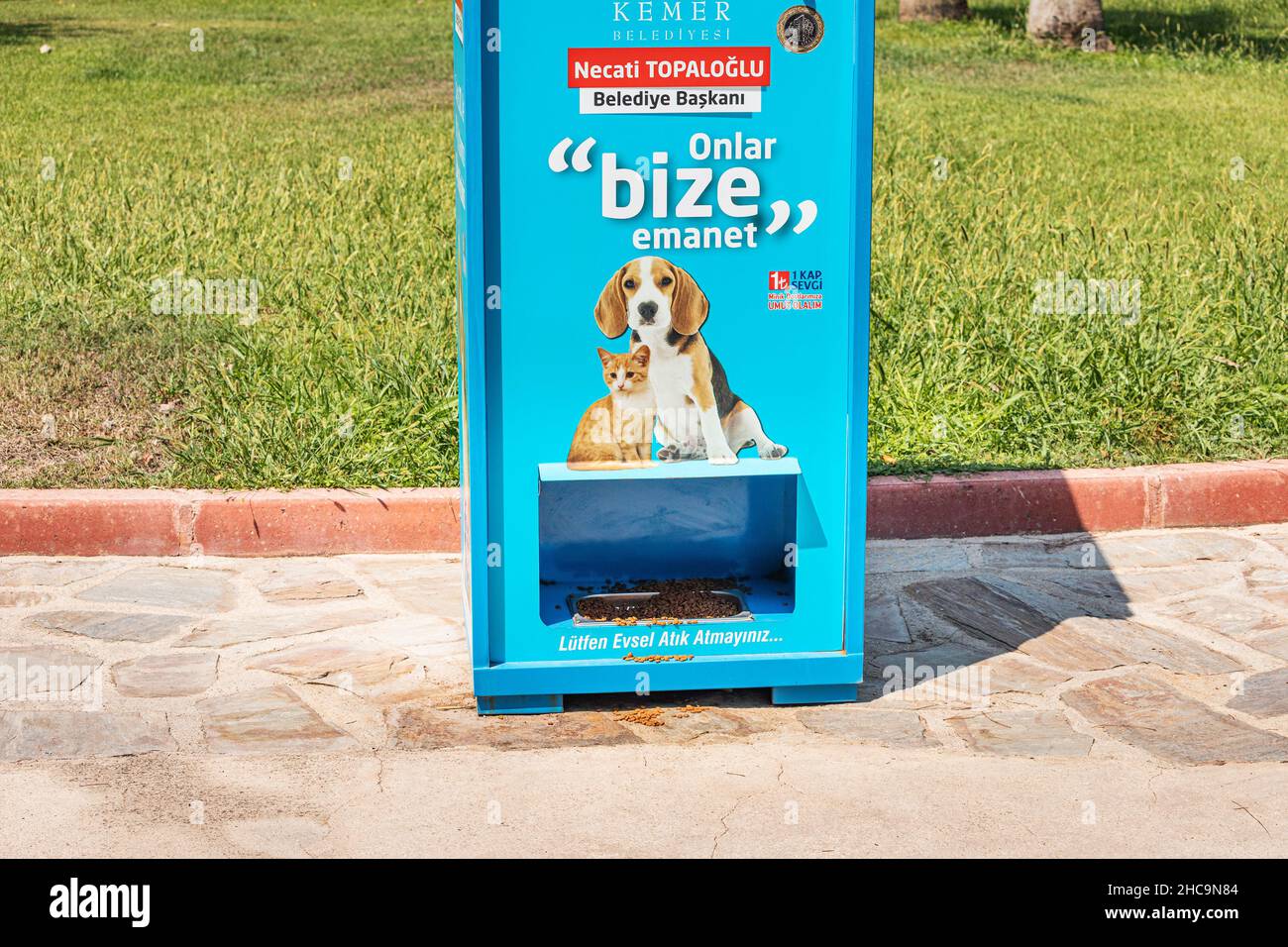Stray cat feeder hi-res stock photography and images - Alamy