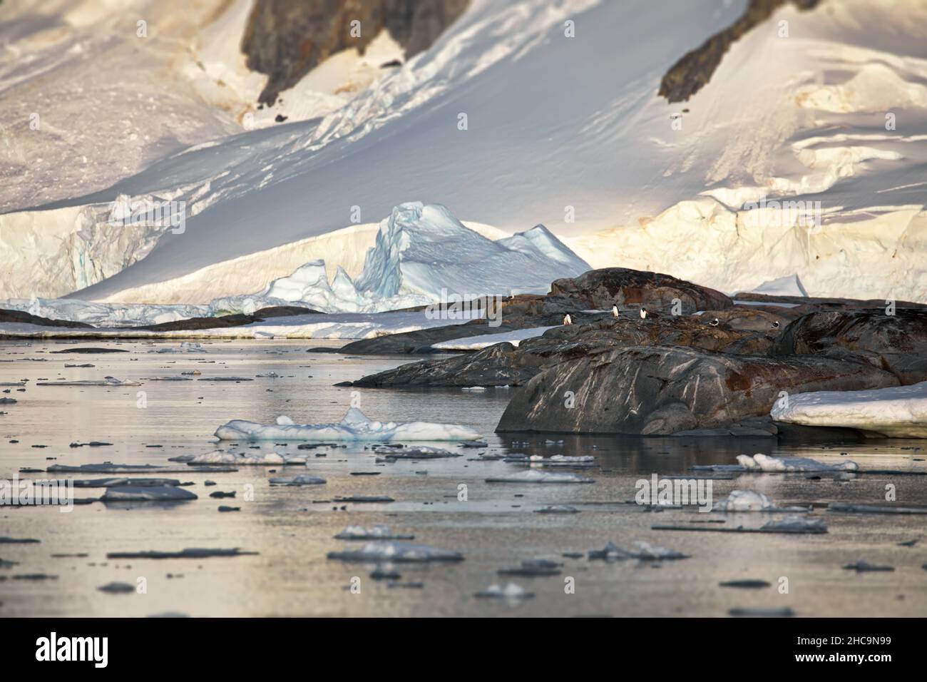 Antarctica beautiful hi-res stock photography and images - Alamy