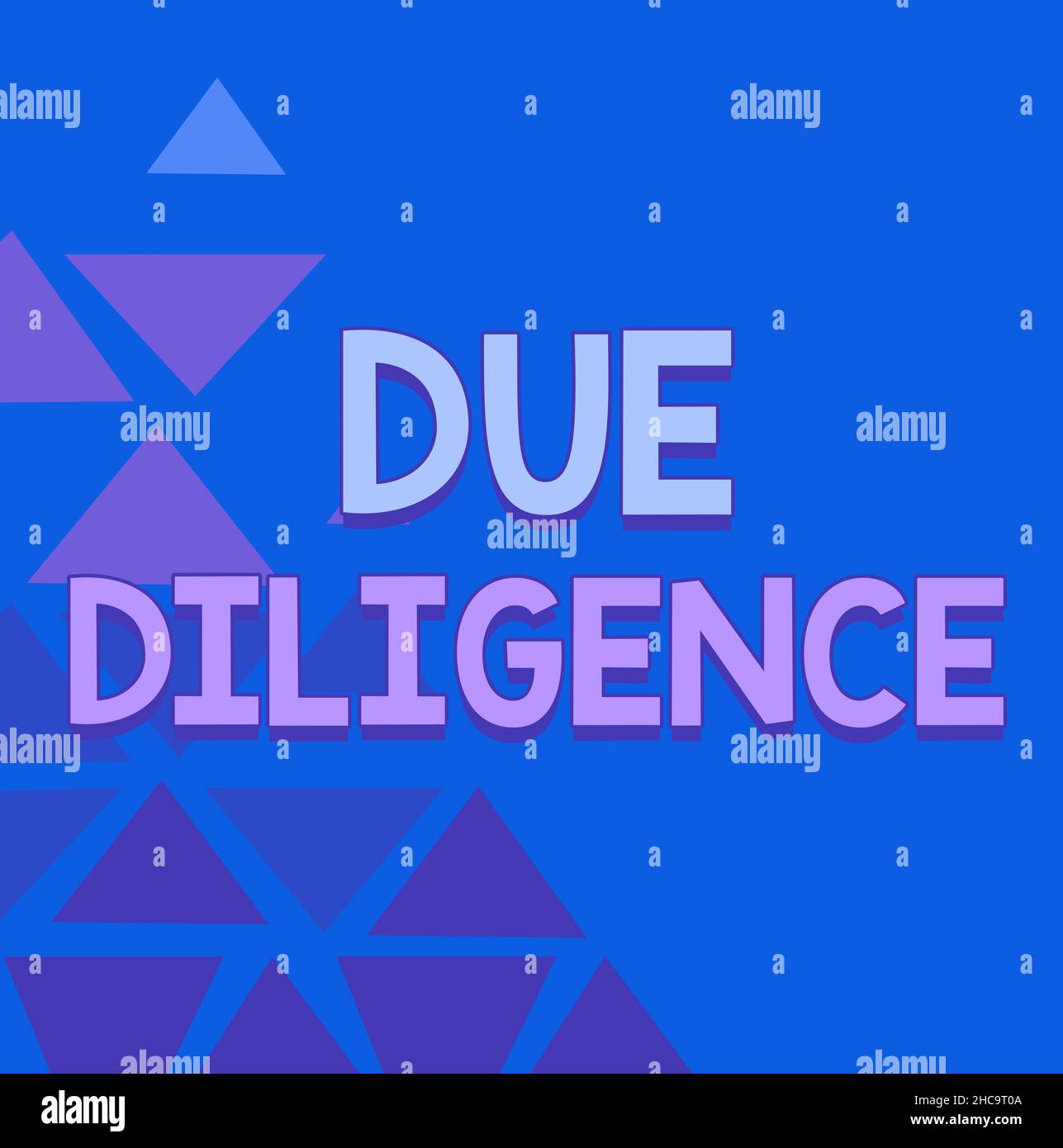 Conceptual display Due Diligence. Business overview Comprehensive ...