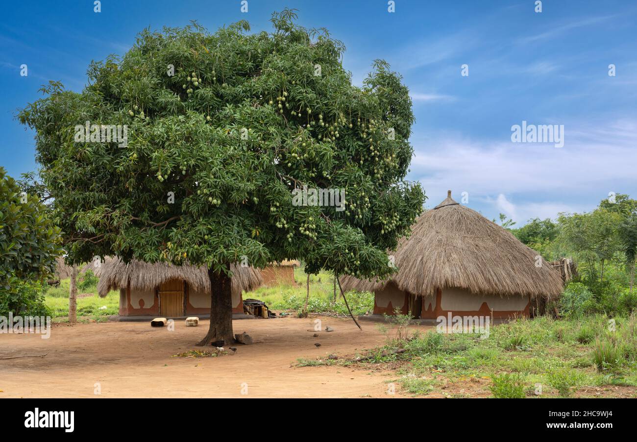 Typical african village hi-res stock photography and images - Alamy