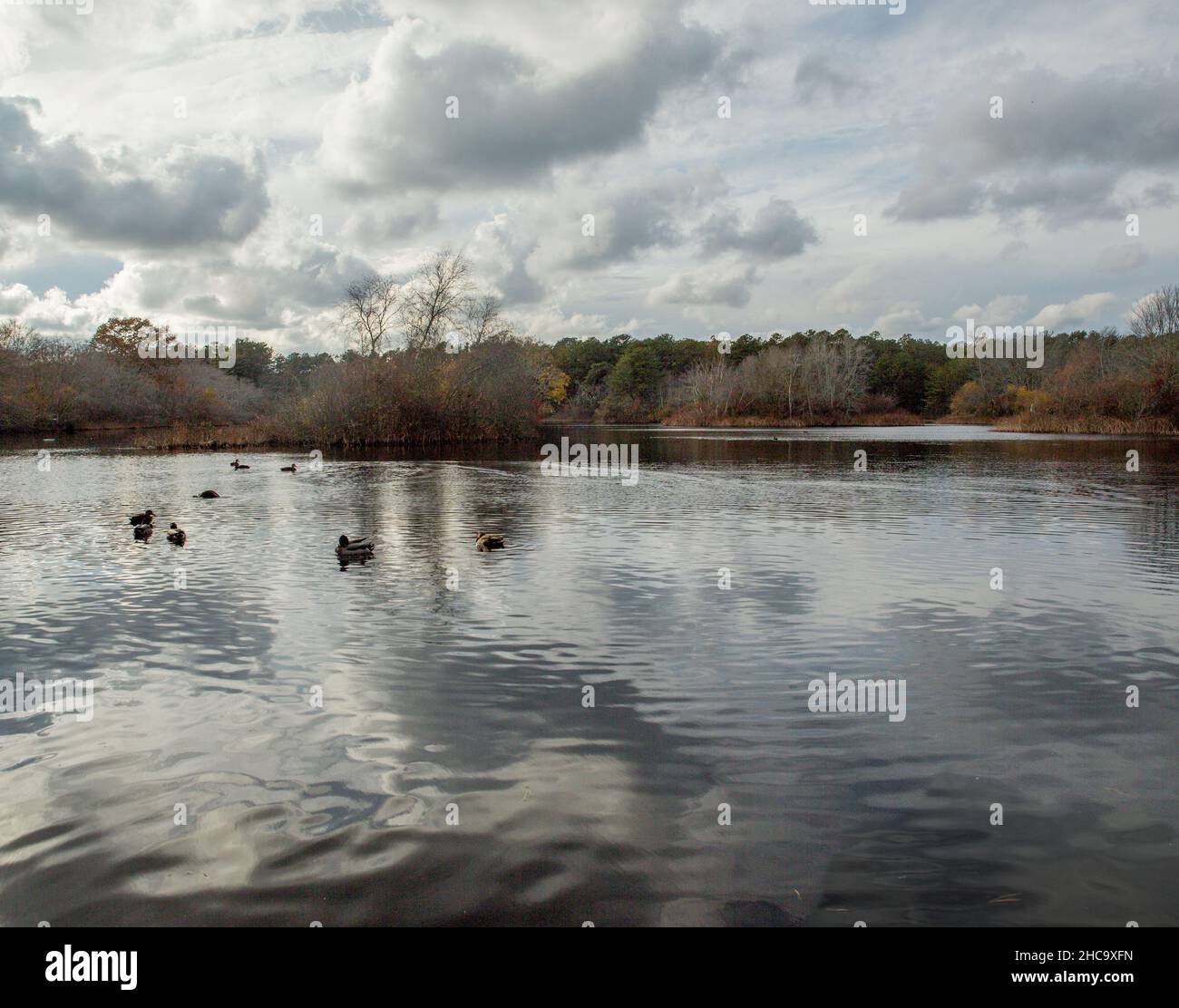 Nature calm view hi-res stock photography and images - Alamy