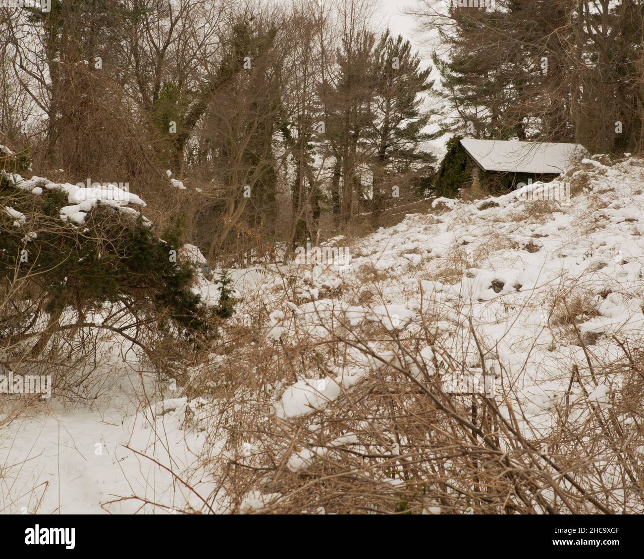 Very frozen house hi-res stock photography and images - Alamy