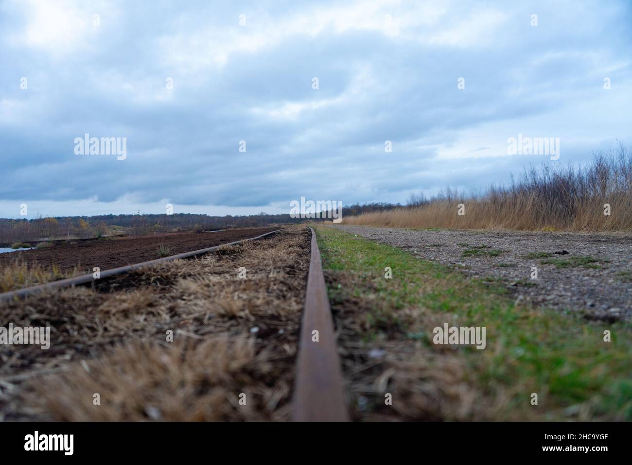 Railroad tracks in a moor in Quickborn, Germany Stock Photo - Alamy