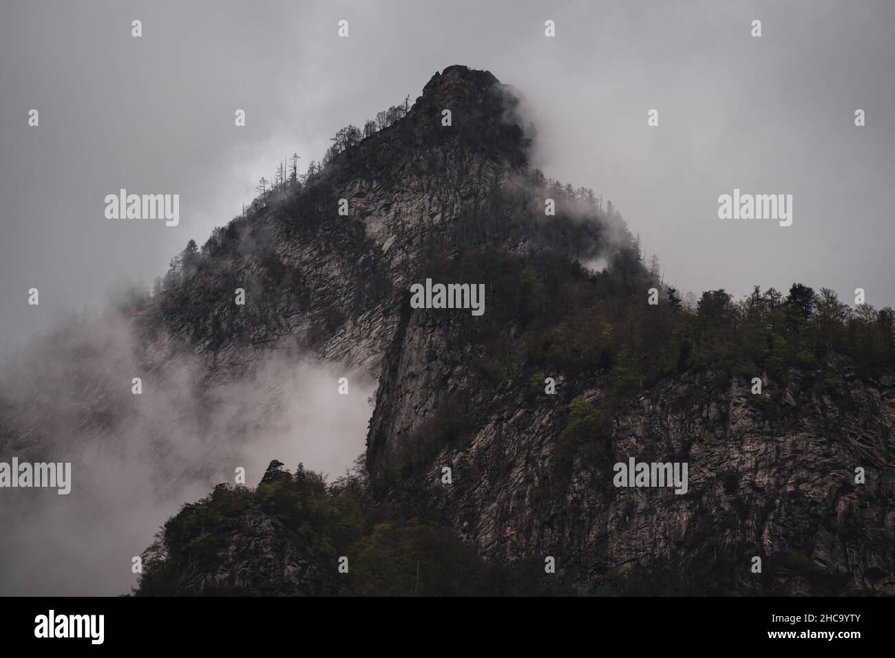 Rocks, forests and meadows covered with fog in an alpine mountain world ...