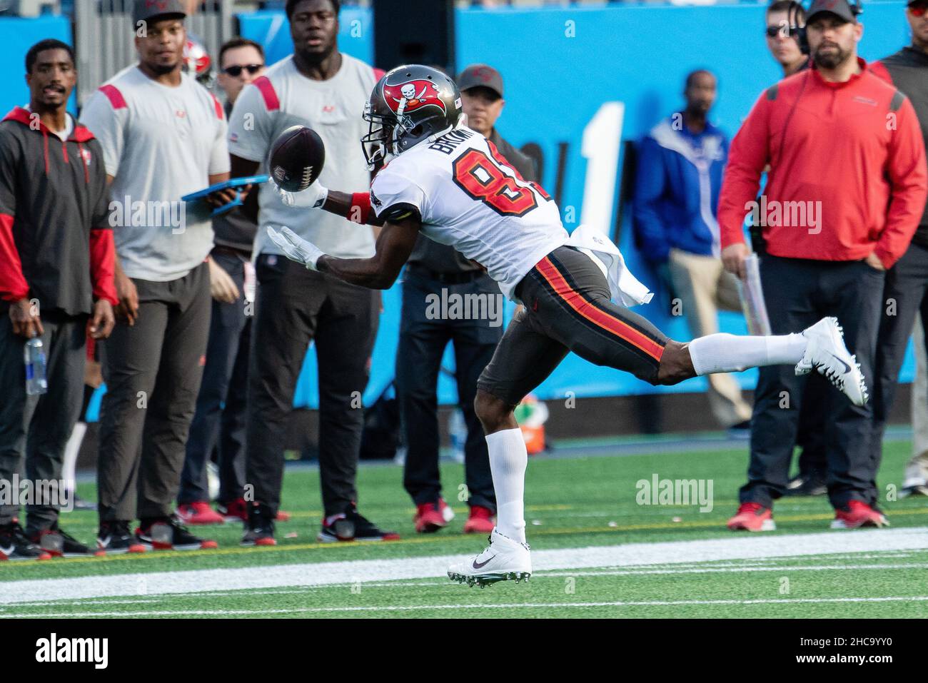 Charlotte, NC, USA. 26th Dec, 2021. Tampa Bay Buccaneers wide receiver ...