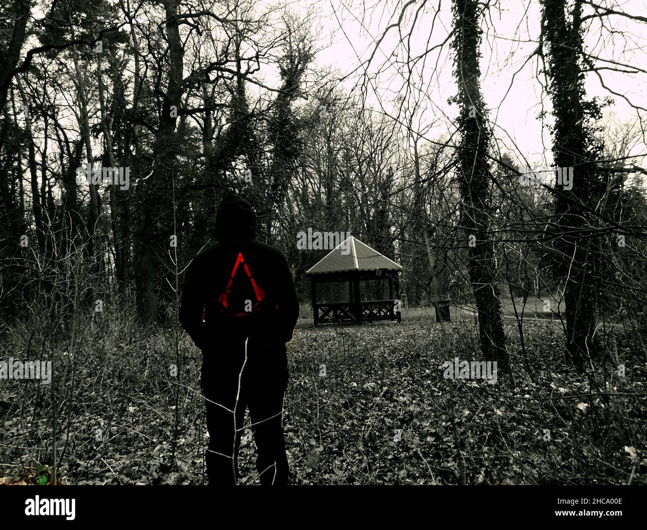 Guy wearing a black jacket with a red symbol in a forest Stock Photo ...