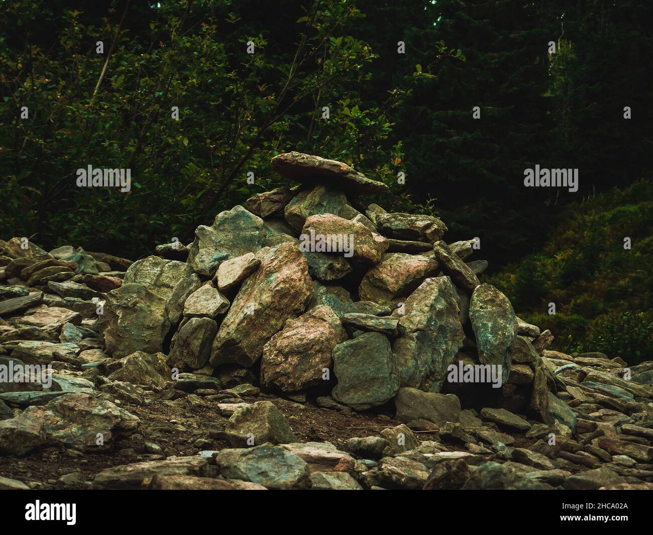 Pile of rocks covered in dirt in a forest Stock Photo - Alamy