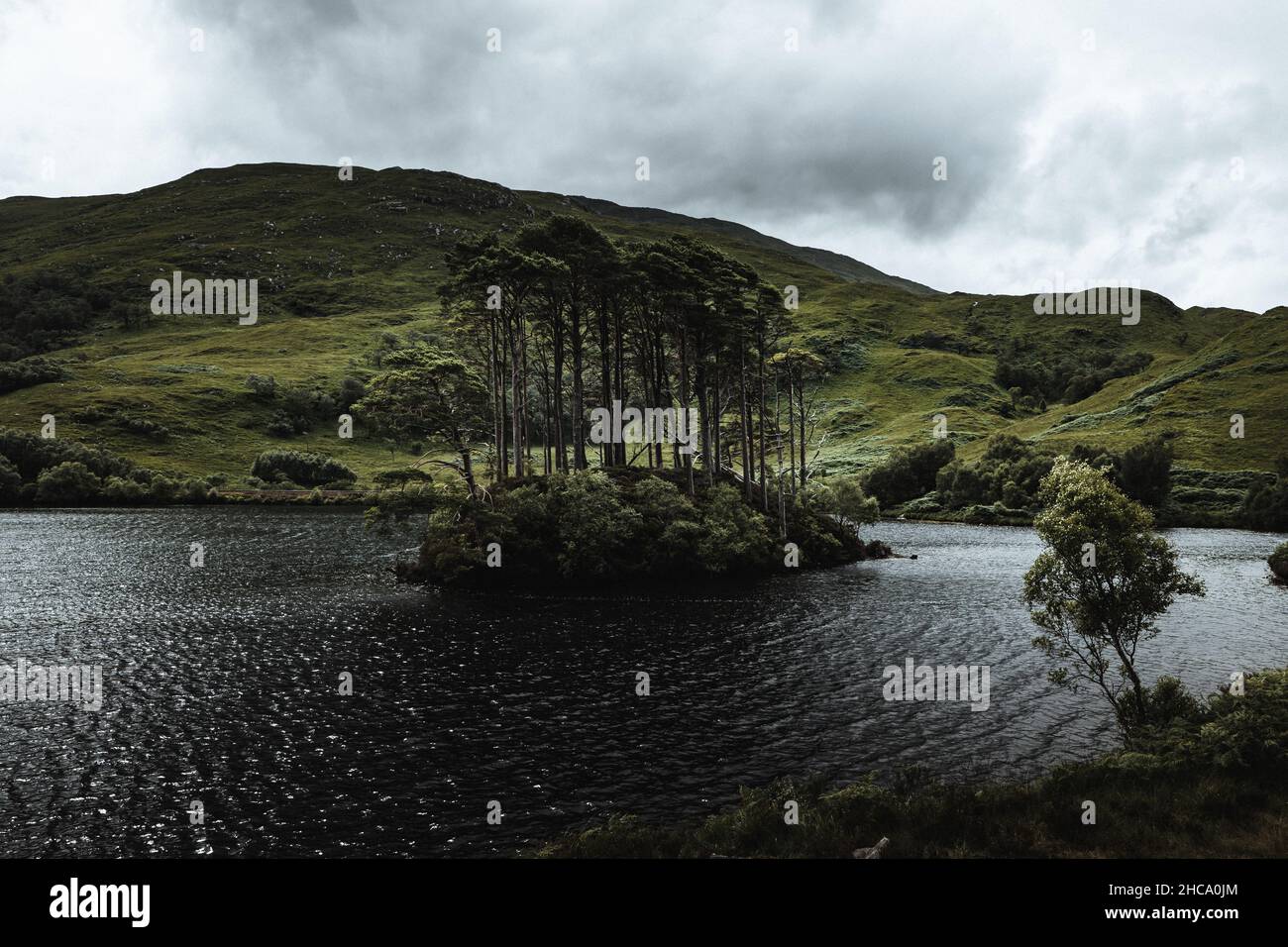 Beautiful view of the Eilean na Moine Island, Loch Eilt, Scotland Stock ...