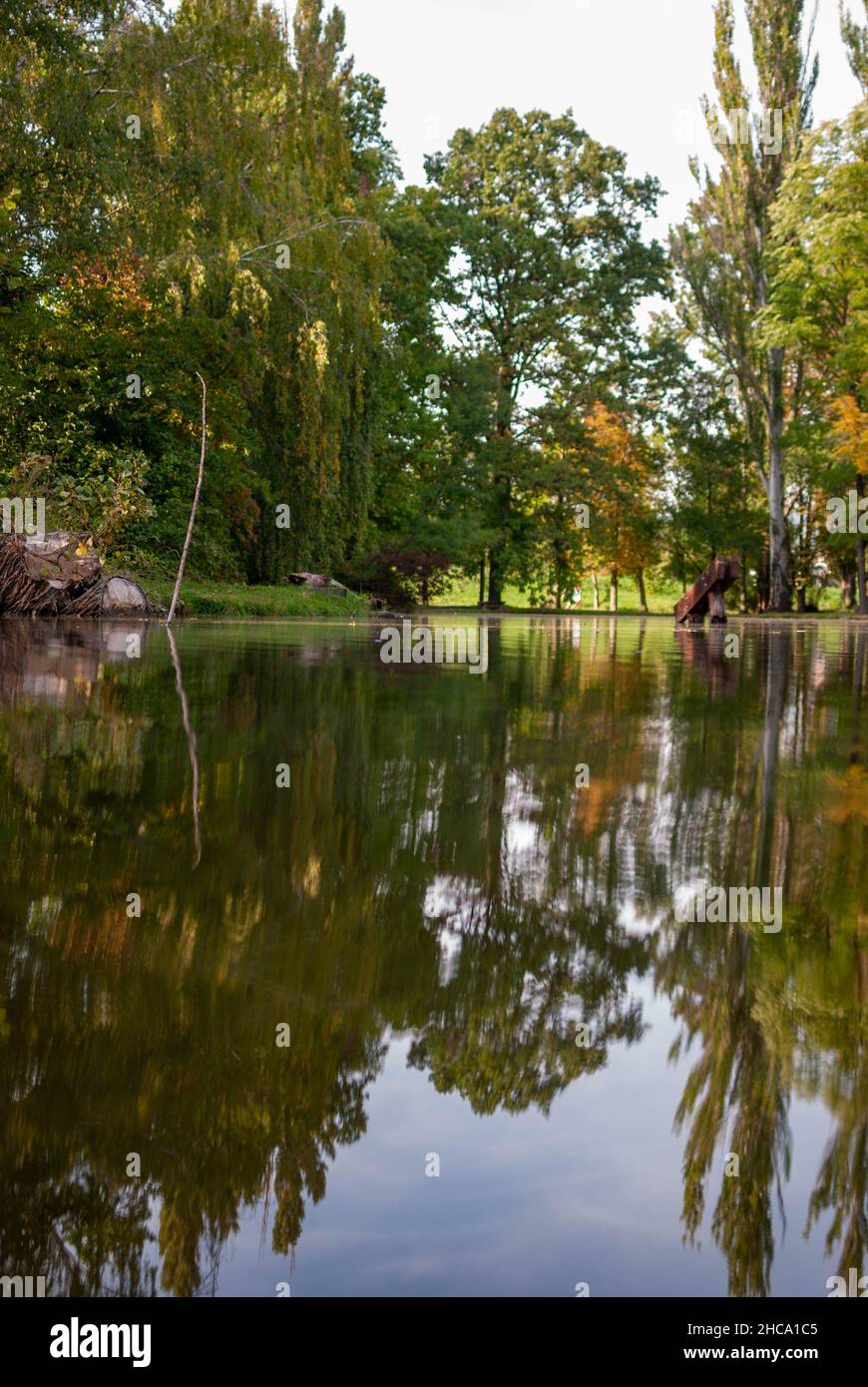 A lake reflection of beautifule summer trees in the park Stock Photo ...