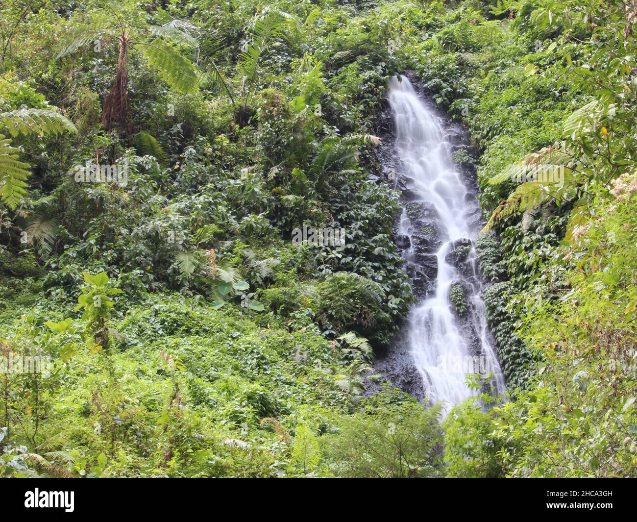 the flow of water that flows into the river with a natural rural ...