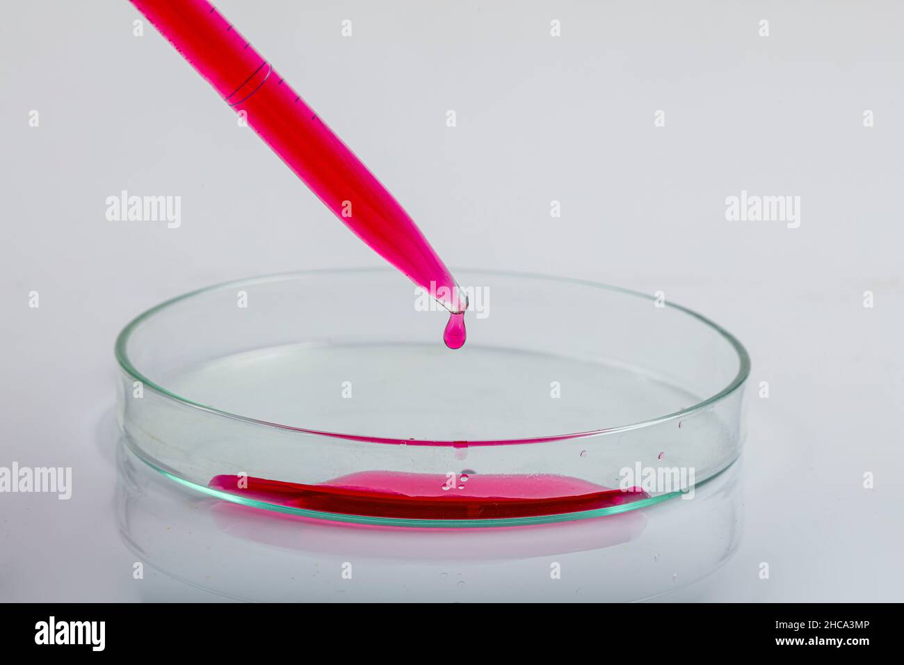 Laboratory pipette with drop of red liquid over Petri dishes with red ...