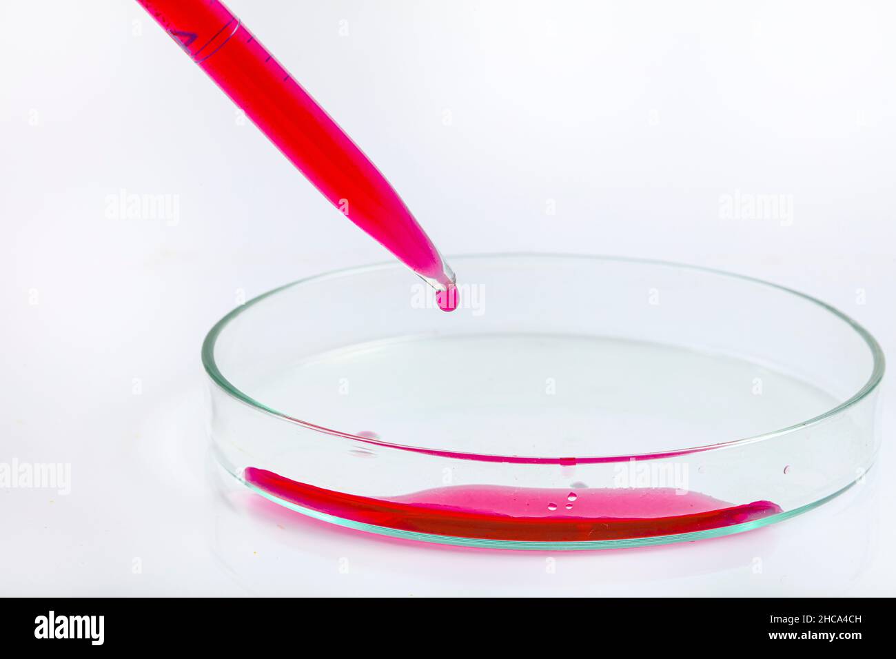 Laboratory pipette with drop of red liquid over Petri dishes with red ...