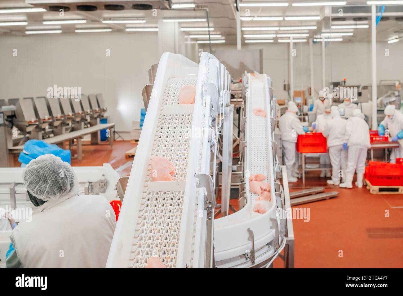 Meat processing plant.Industrial equipment at a meat factory.Modern ...