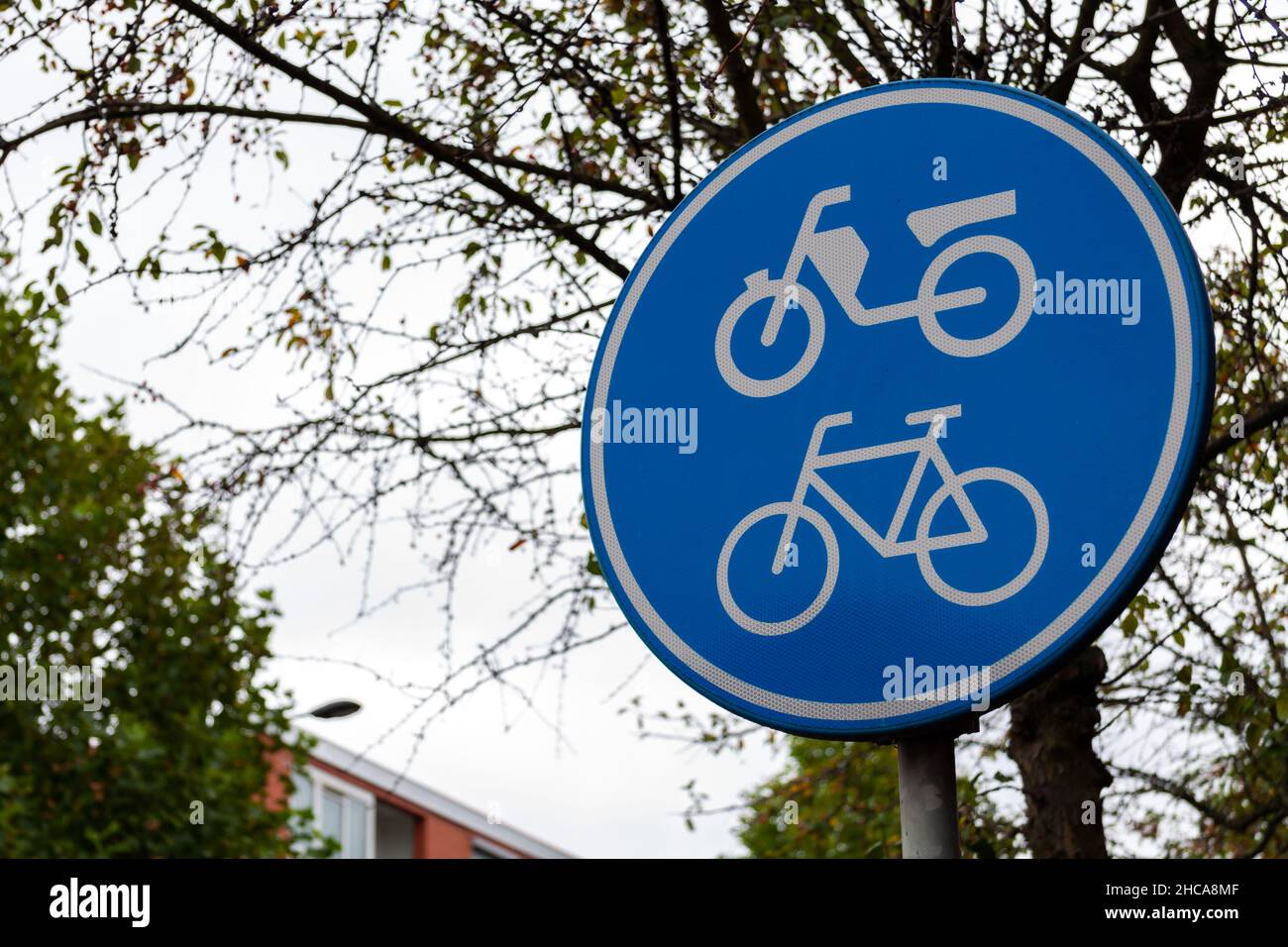 Closeup of bike path sign in the street Stock Photo - Alamy