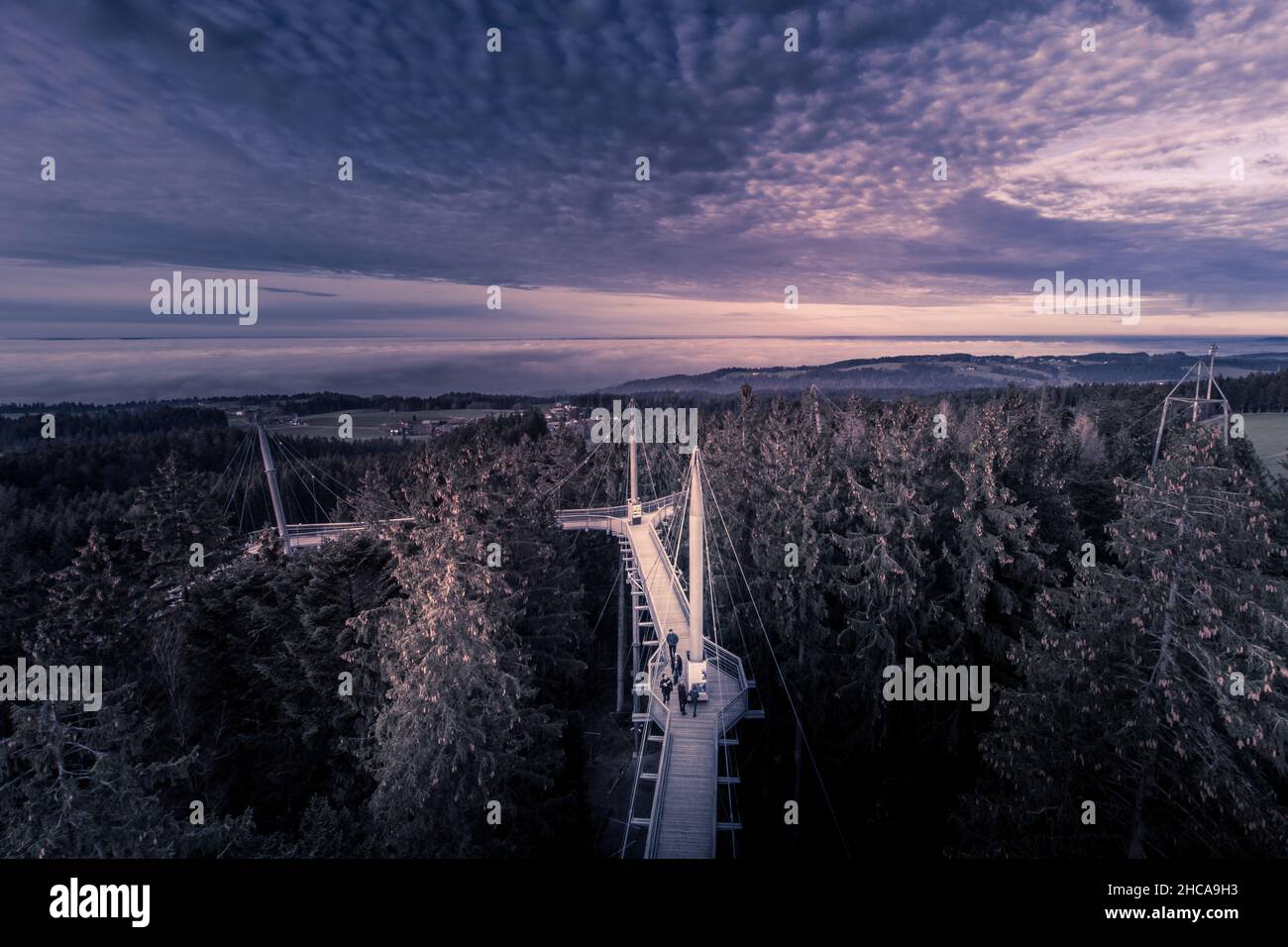 Landscape of the Skywalk Scheidegg surrounded by a forest and alps in ...