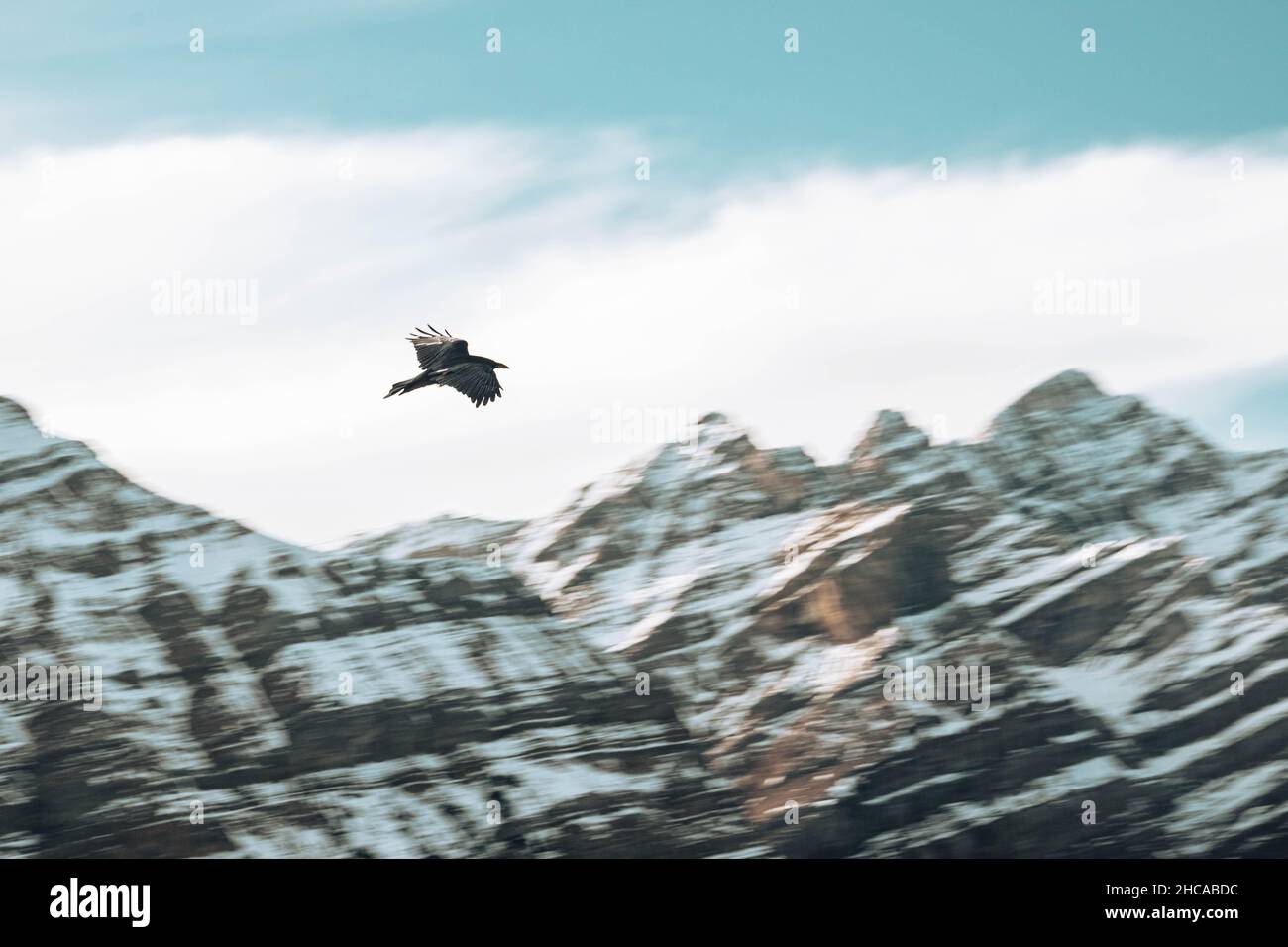 Flying ice hi-res stock photography and images - Alamy