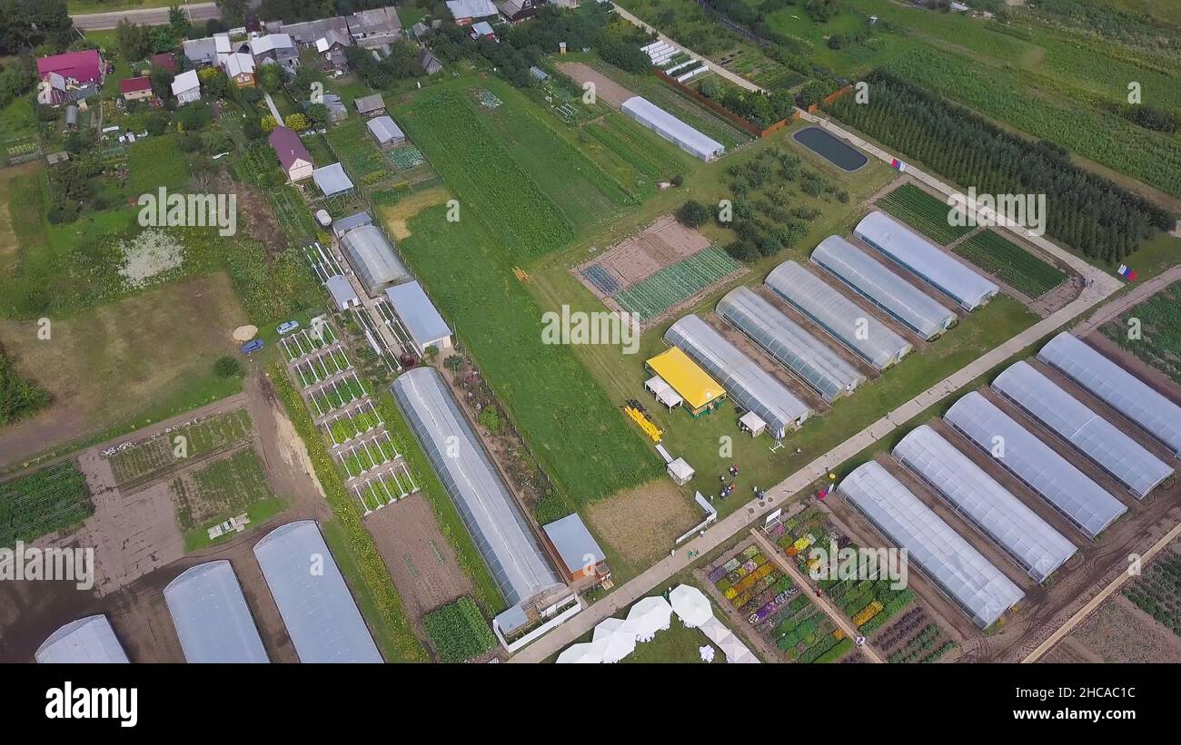 Birds Eye View of the vegetable Fields and Agricultural Parcel. Aerial ...