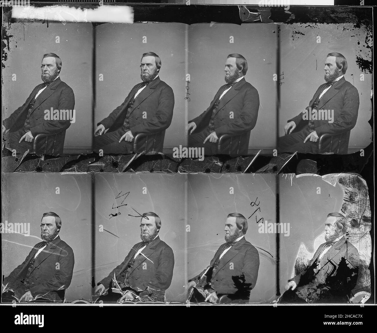 vintage, retro, old, photograph, century, botany, graphics, antique ...