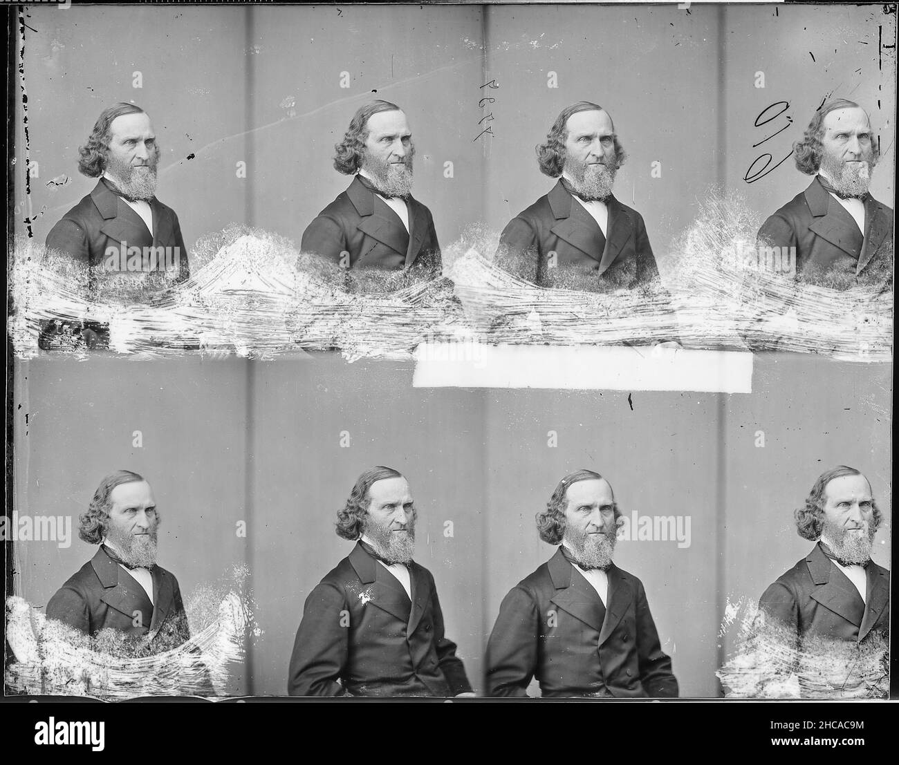 vintage, retro, old, photograph, century, botany, graphics, antique ...